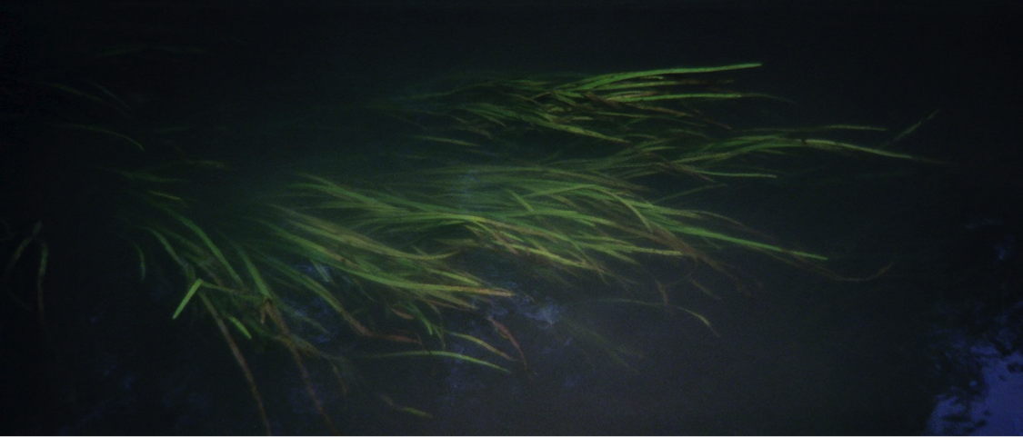 SOLARIS in Twelve Images – Perisphere