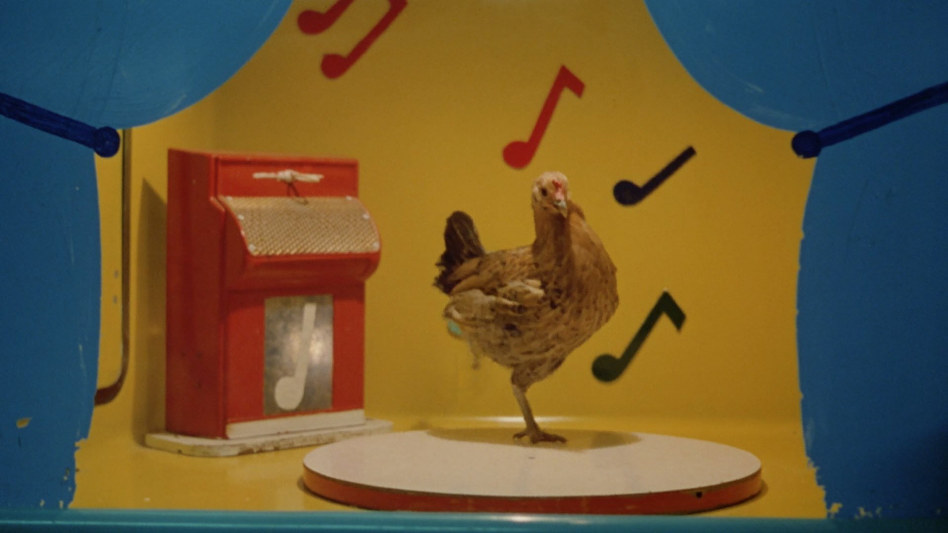 Disturbing Sincerity: Street Musicians, Serial Killers, and the ...