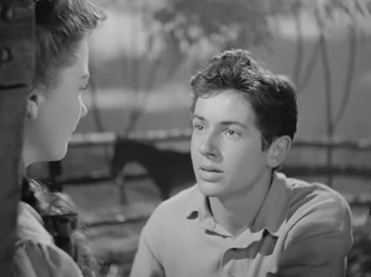 “Without Guilt or Remorse”: A Deep Dive into the Life of Hitchcock Star Farley Granger – Perisphere