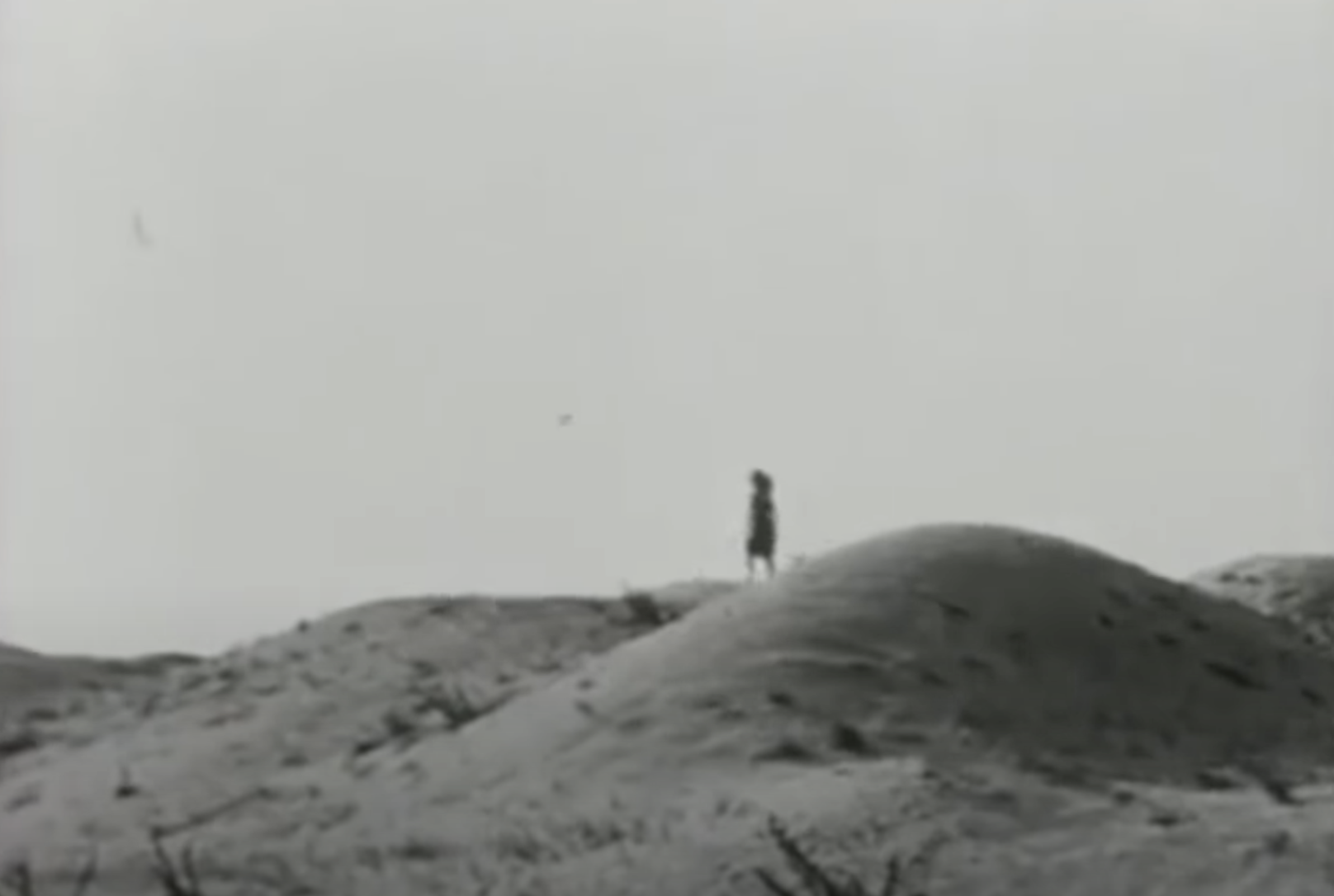 Oneiric Reflections and Rebirth of Femininity in Maya Deren’s Meshes of ...